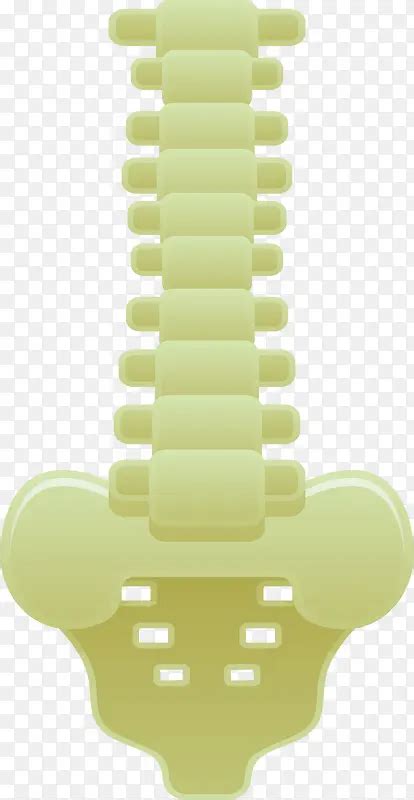 脊髓器官生物医药png图片素材下载图片编号qemplgll 免抠素材网