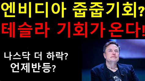 엔비디아 줍줍기회인가 테슬라 절호의 기호가 오고있다 사이버트럭 효율성 미쳤다 사이버트럭 덕분에 비지니스가 달라진다 10월