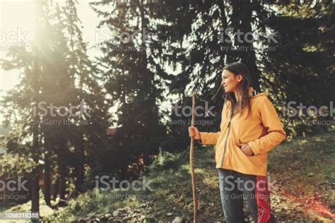 아름 다운 숲에 서 있는 나무 막대기로 매력적인 젊은 여자 가문비나무에 대한 스톡 사진 및 기타 이미지 가문비나무 관광 관광객 Istock