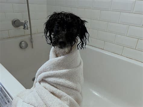 Tw Pornstars Max Konnor Pictures And Videos From Twitter Page