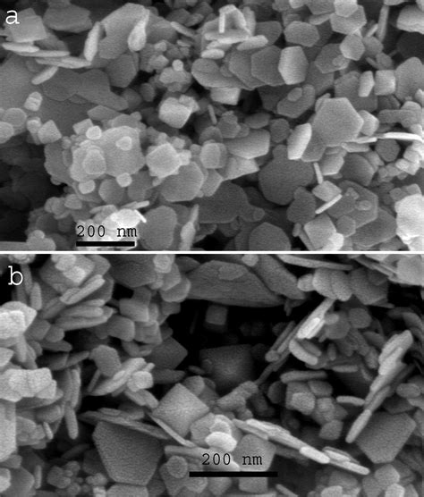 Recrystallization Processes Involving Iron Oxides In Natural Environments And In Vitro Intechopen