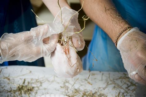 Pigs Bladder Football John Oshea 2011 Abandon Normal Devices