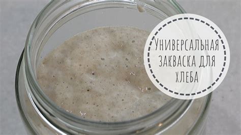 УНИВЕРСАЛЬНАЯ ЗАКВАСКА ДЛЯ ХЛЕБА (на пшеничной и ржаной муке) / Выводим ...