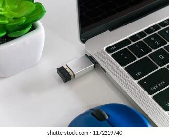 2 119 Mouse Receiver Images Stock Photos Vectors Shutterstock