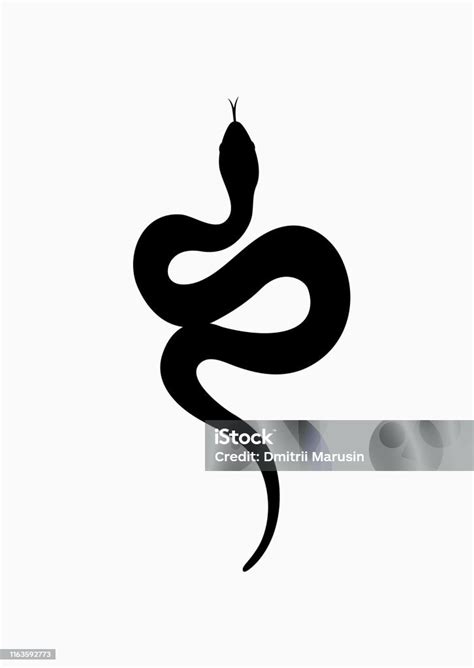 Svart Silhuett Orm Isolerad Symbol Eller Ikonorm På Vit Bakgrund Abstrakt Tecken Orm Vektor
