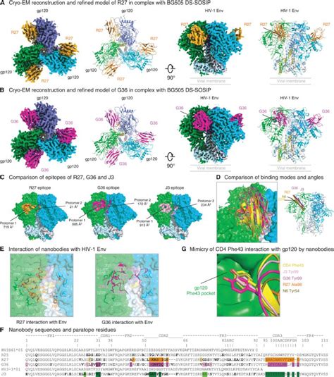 James Hainsworth On Linkedin Electronmicroscopy Subsampling Imaging Cryoelectronmicroscopy