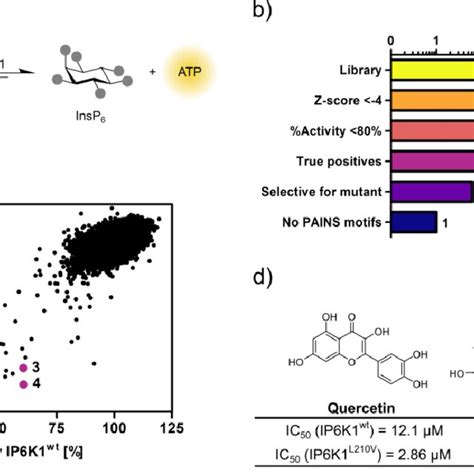A Atp Synthase Reaction Used For The High Throughput Screen The Download Scientific Diagram