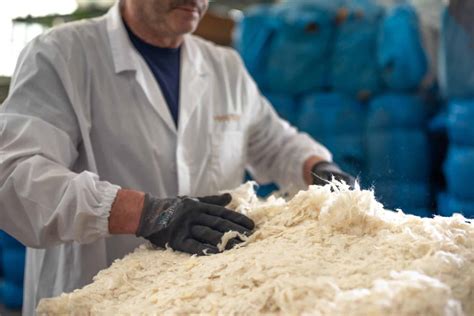 5 Reasons Why Wool Is The Circular Fiber Par Excellence Manteco