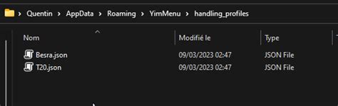 Bug Exceptionaccessviolation When Saving Vehicle Handing · Issue