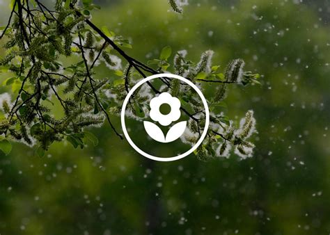 Hourly Weather Forecast For Hernando Fl Weatherbug