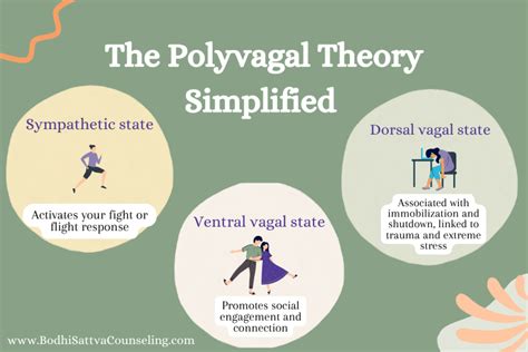 Polyvagal Theory Worksheetspolyvagal Theory Chart
