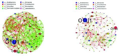 Bacterial Co Occurrence Networks Of Different N Gradients From Otus A