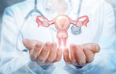 The Role Of Gut Health In Fertility Understanding The Link Women Fitness