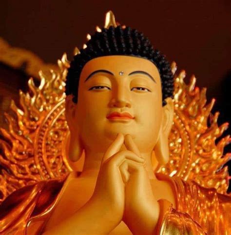 දහමට ලැදි තරුණ දු පුතුන්