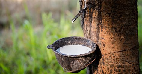 Rubber Based Adhesive Glue Natural Or Synthetic