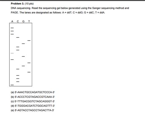 Solved Dna Sequencing Read The Sequencing Gel Below