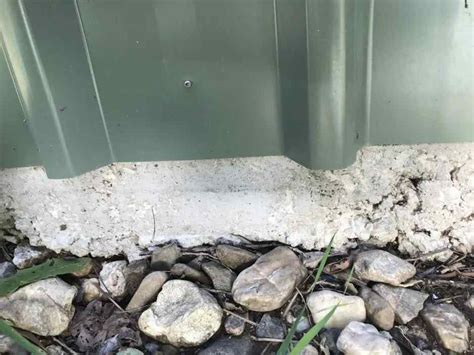 How Not To Vermin Proof Your Shed 😱👉 ️