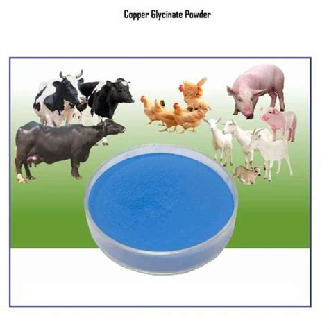 Copper Glycinate Powder Purity 99 Grade Technical Grade At ₹ 1120kg In Nagpur
