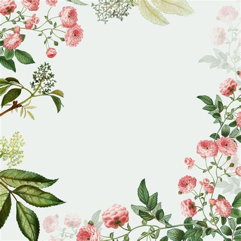复古植物框架设计插图素材 高清图片 摄影照片 寻图免费打包下载