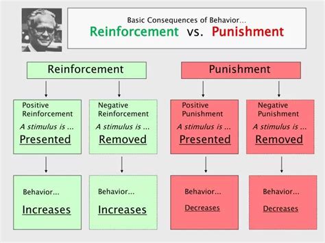 PPT Basic Consequences Of Behavior Reinforcement Vs Punishment
