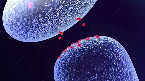 Sinyal Listrik Dan Kimia Yang Ditransmisikan Melalui Sel Sel Neuron Di Sinapsis Otak Foto Latar