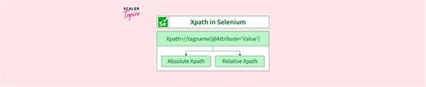Xpath In Selenium Scaler Topics
