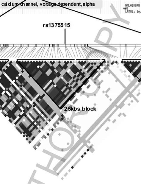 Plots Modified From Hapmap Release 27 And Haploview Vs 4 1 Hapmap