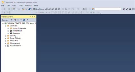 How To Move Bartender System Database Or Sql Server Database To A New Computer Server Seagull