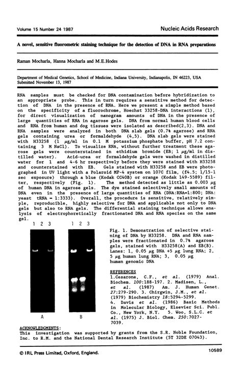 A Novel Sensitive Fluorometric Staining Technique For The Detection Of Dna In Rna Preparations