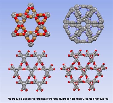 Macrocycle‐based Hierarchically Porous Hydrogen‐bonded Organic