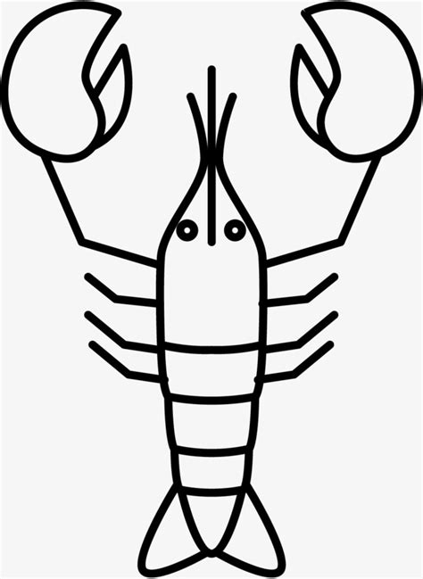 Crayfish Drawing Free Download On ClipArtMag