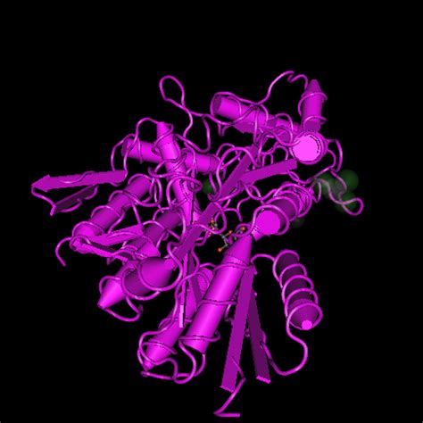 Thermococcus Litoralis Alchetron The Free Social Encyclopedia