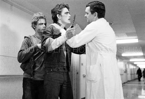 The Outsiders Ponyboy And Johnny