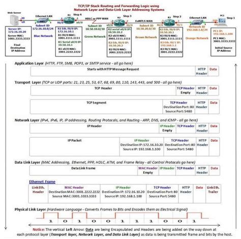 Data Flow Between Two Hosts Across A Network ExamCollection