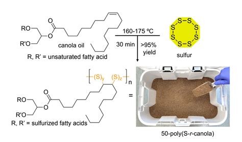 Polymers Examples Scientists Develop Promising New Type Of Polymer