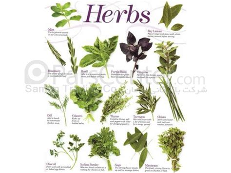 گیاهان دارویی ؛ Herb محصولات داروی گیاهی در پارس سنتر