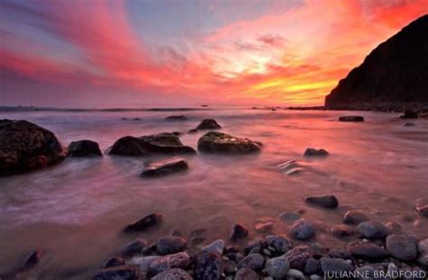 Mackenzie Brown Nature Photography Nature Photos Nature