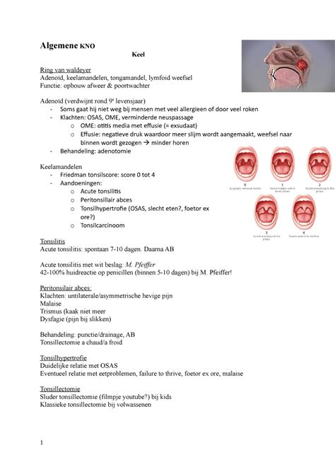 Algemene Kno Algemene Kno Keel Ring Van Waldeyer Adenoïd