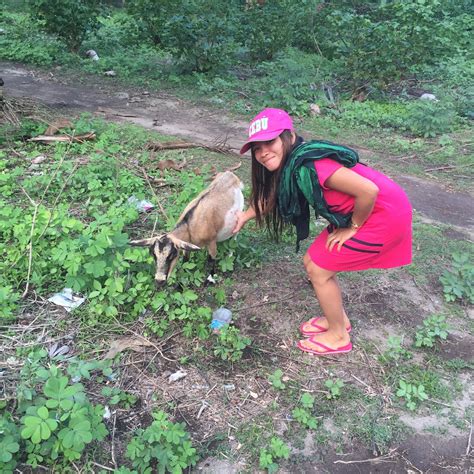 Adrotate Pro 40 Advertiser Update › Ajdg Solutions