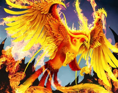 Fire Phoenix Wallpapers Top Free Fire Phoenix Backgrounds