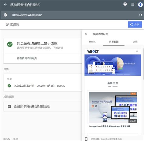 Google Mobile Friendly Test移动设备适合性测试 闪电博