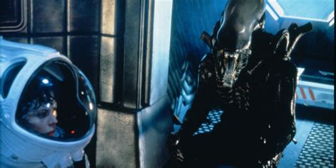Ranked Longest Running Horror Movie Franchises