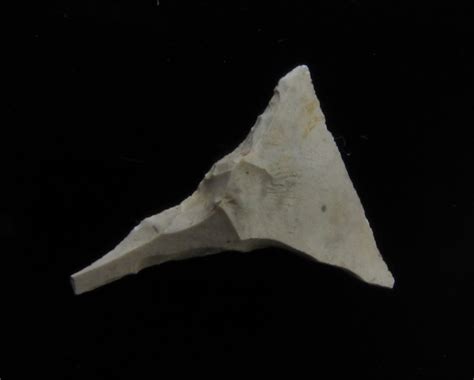 Archaeology Blog Project