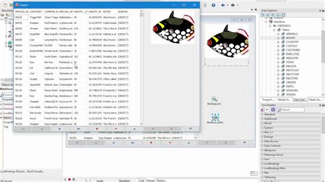 Using Livebinding In Vcl Applications Youtube