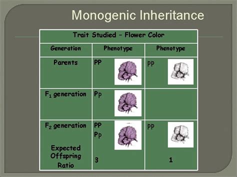 Genetics Lifes Blueprint Monogenic Traits Aka Simple Inheritance