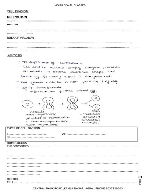 Class Notes Chapter 2 Part 2 Cell Division Pdf Ploidy Mitosis