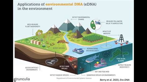 Biodiversity Monitoring From Airborne Environmental Dna Revolutionary