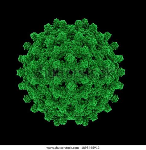 Hepatitis B Virus Particle 3d Stock Illustration 1895445913 Shutterstock
