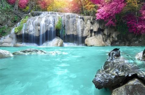 Essential Java Stream Interview Questions Debugbar