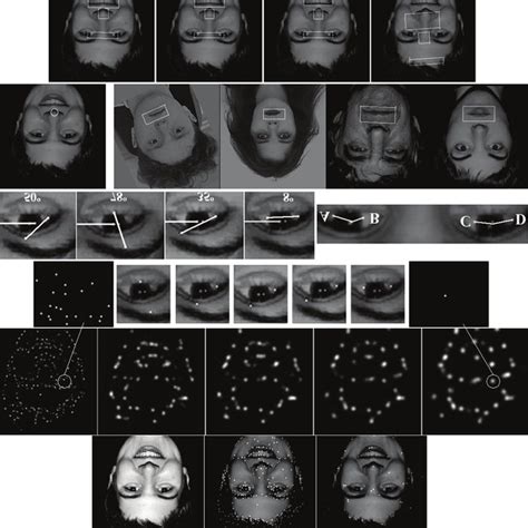 Eyes Nose And Mouth Detection Rectangles Width And The Angle Between Download Scientific
